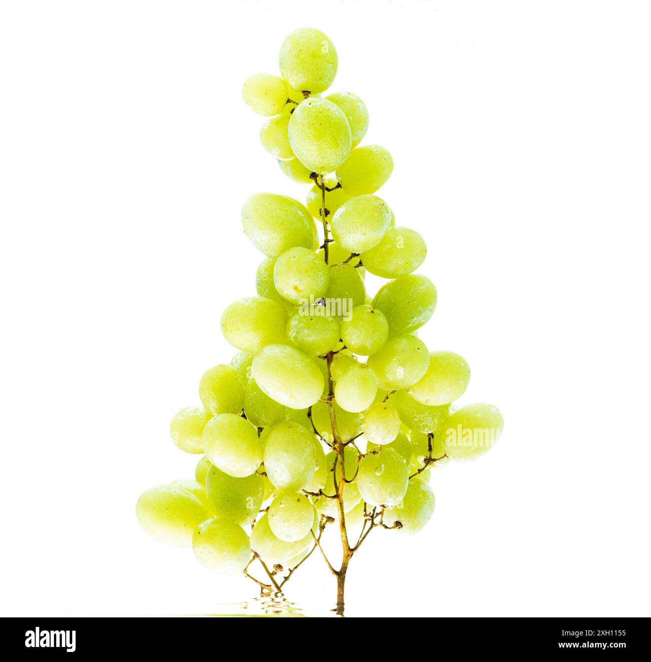 Fresh green grapes in water against white background. Health concept Stock Photo - Alamy