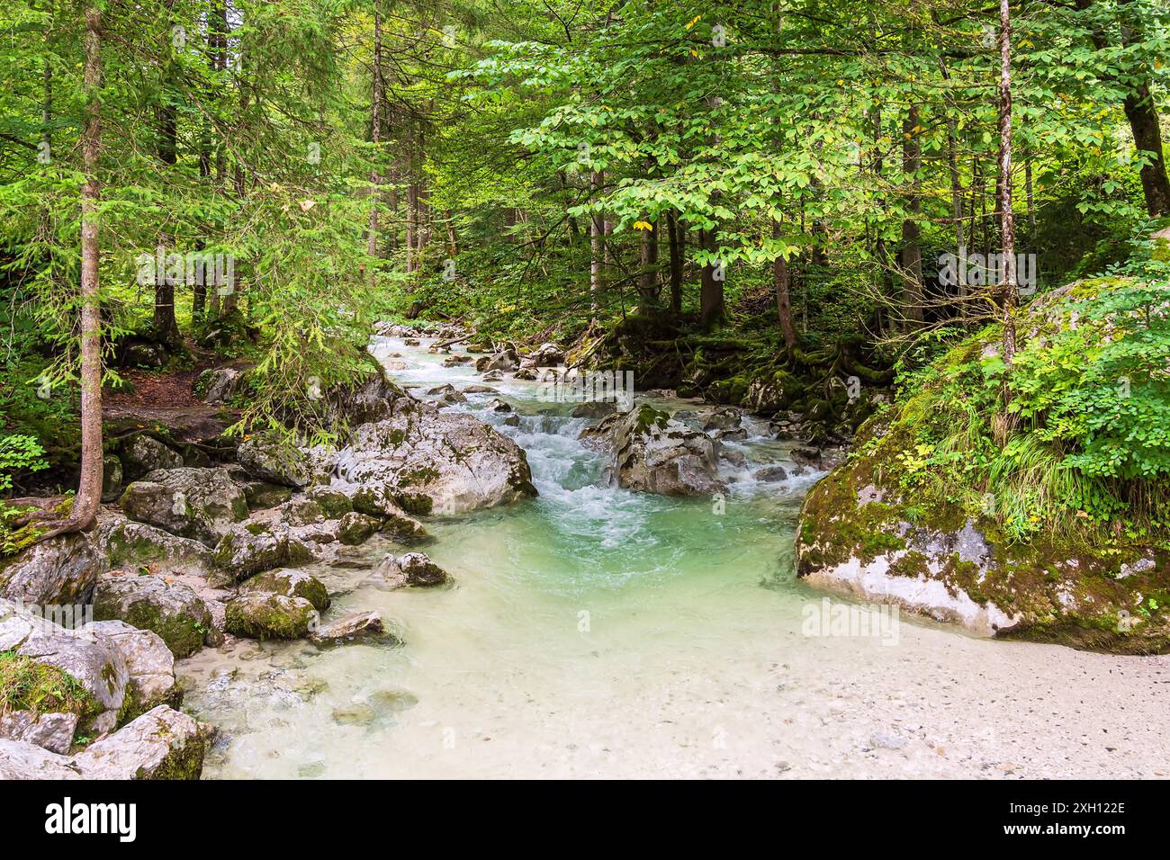 Ramsauer Ache in the enchanted forest in Berchtesgadener Land Stock ...