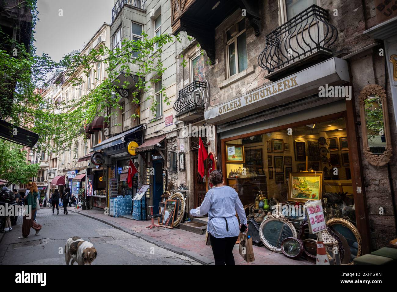 Typical street in Beyoglu District, Istanbul, Turkey Stock Photo - Alamy