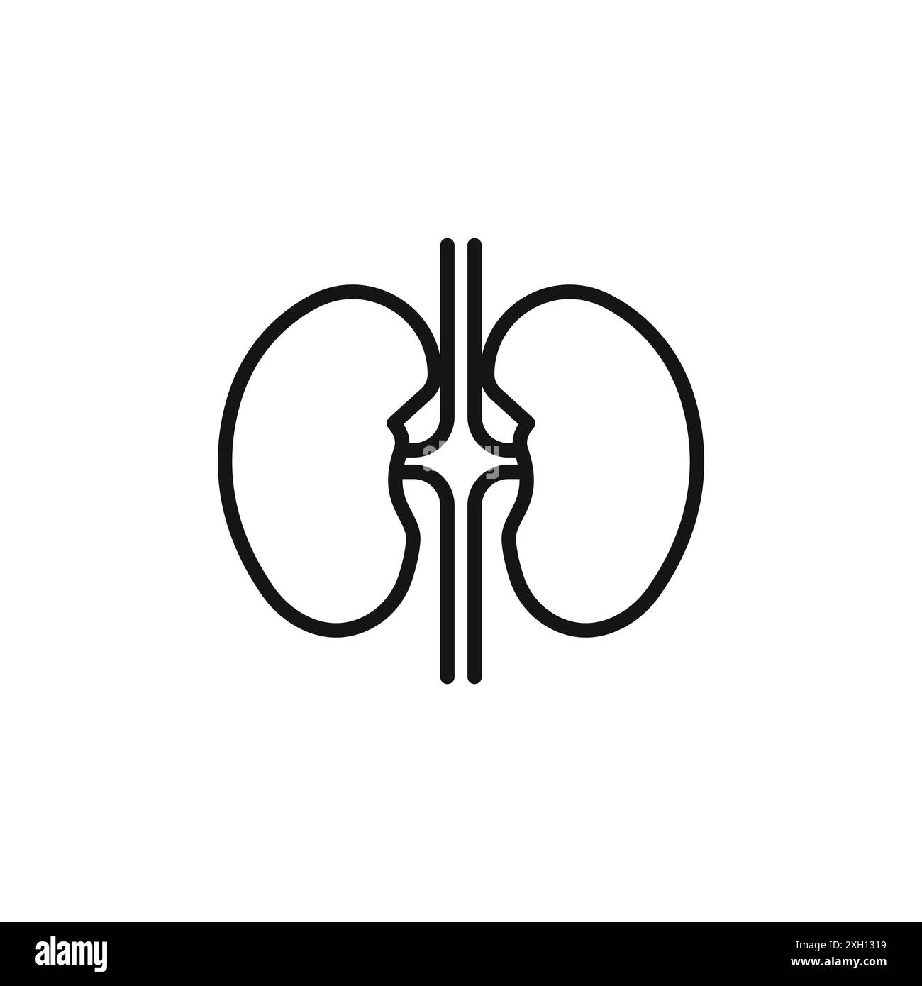Kidney disease vector vectors hi-res stock photography and images - Alamy
