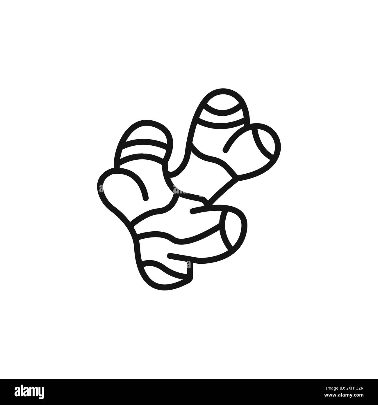 ginger icon logo sign vector outline in black and white color Stock ...