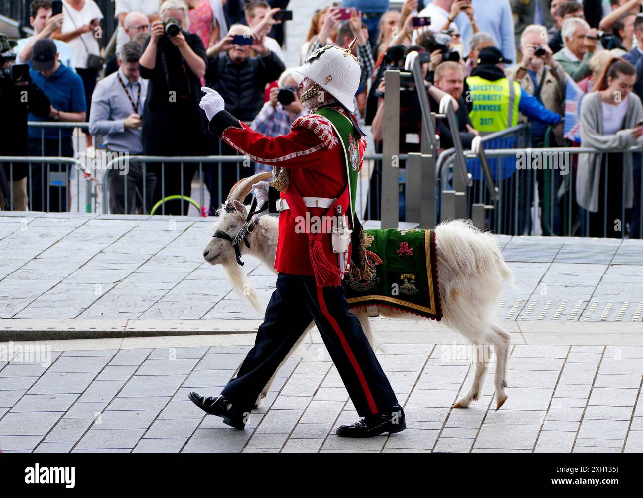 A member of the Royal Welsh with a goat mascot outside the the Senedd ...
