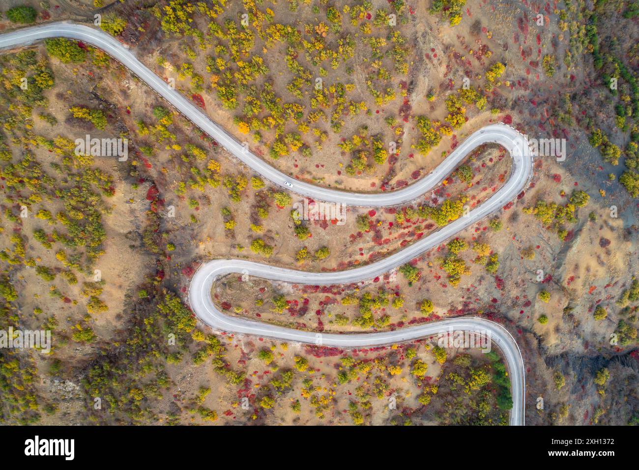 Serpentine fall hi-res stock photography and images - Alamy