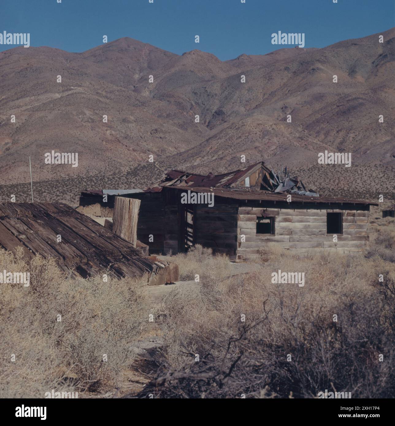 Abandoned old miners cabin hi-res stock photography and images - Alamy