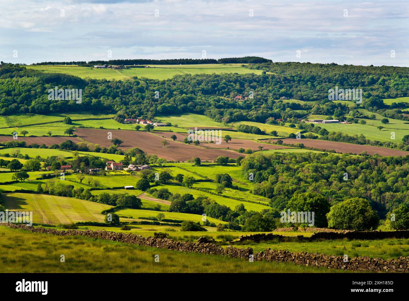 Esk Valley near Grosmont, North Yorkshire Moors, England Stock Photo ...