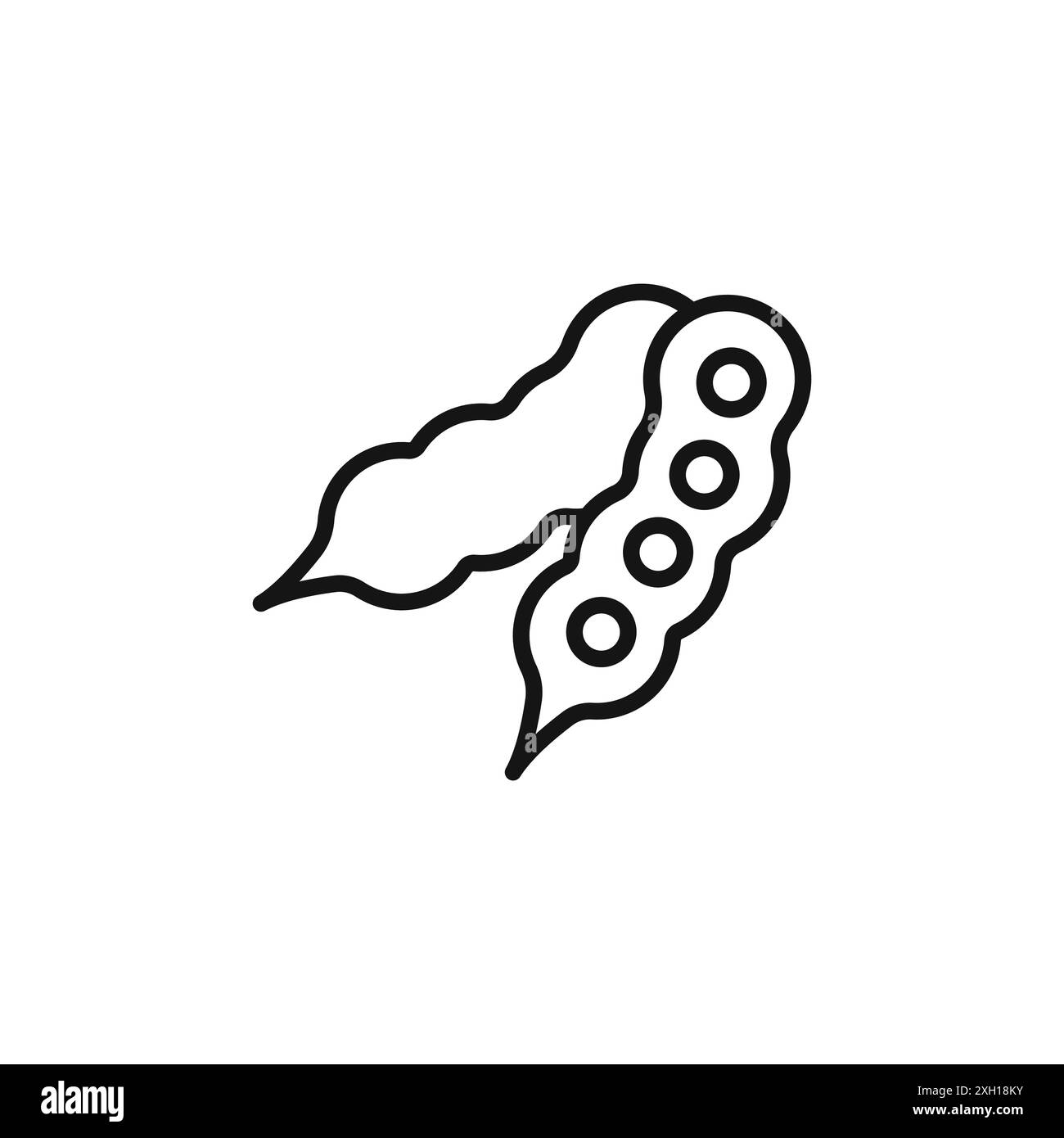 soybeans icon logo sign vector outline in black and white color Stock ...