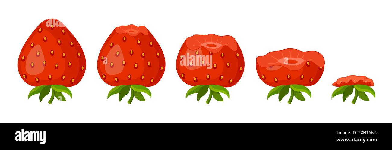 Strawberry eating steps icon set. Stages of biting red berry from Whole ...