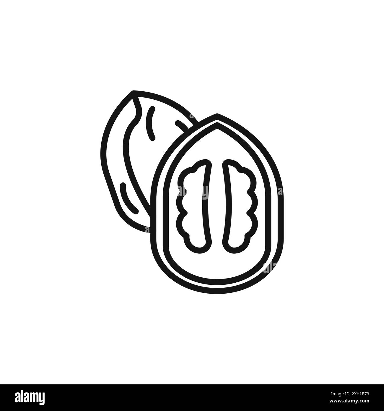 Walnut icon logo sign vector outline in black and white color Stock ...