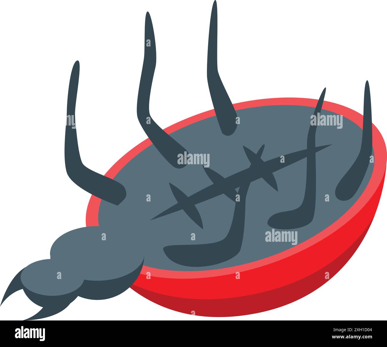 Dead mite insect is lying upside down on its back with legs up in the ...
