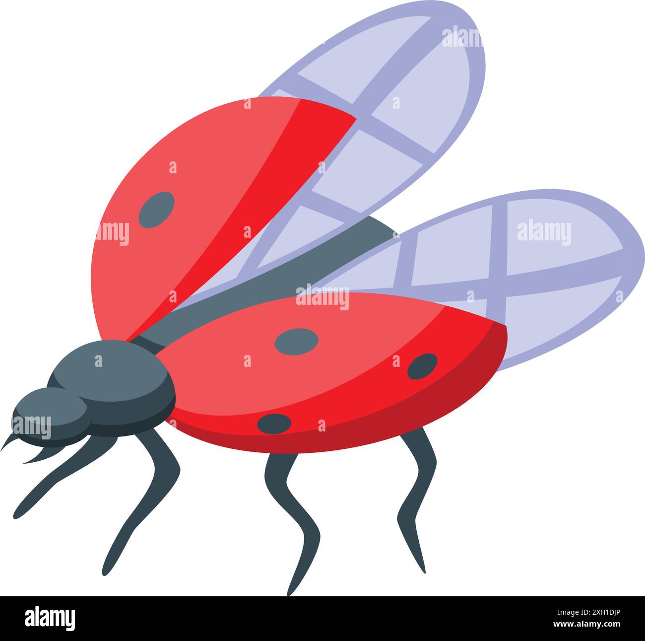 Red ladybug flying with open wings, showcasing its delicate anatomy and ...