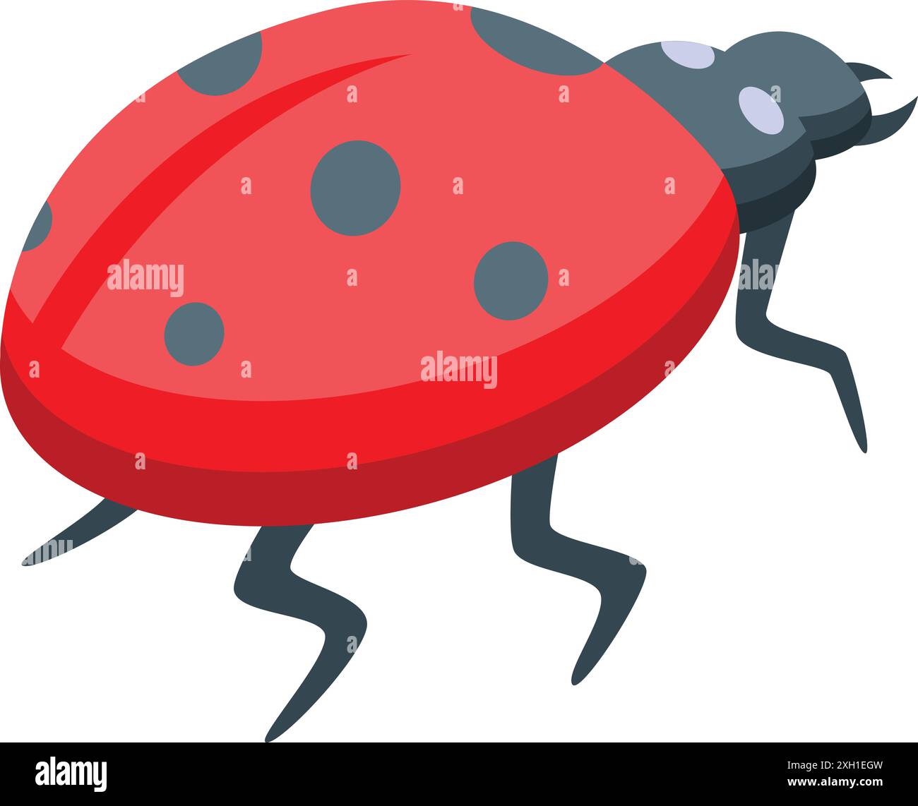 Red ladybug is walking with black spots on its shell Stock Vector Image ...