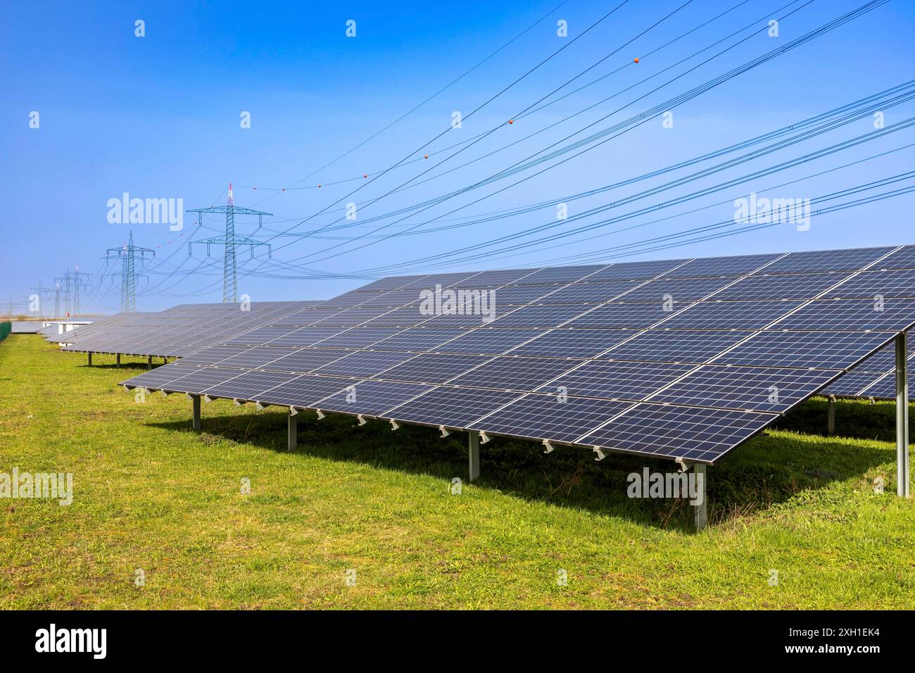Solar park with high-voltage pylons Stock Photo - Alamy
