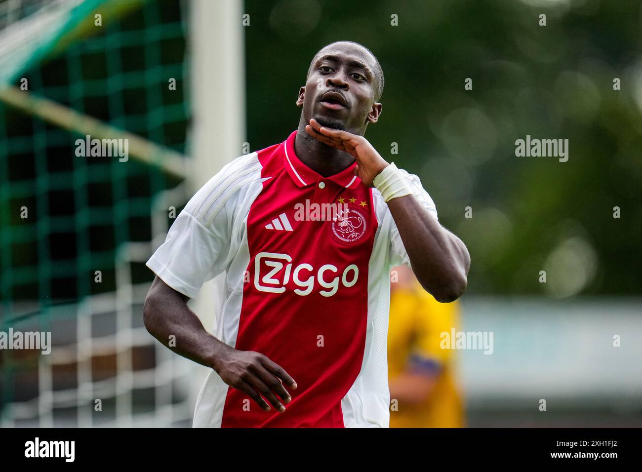 Forbs hi-res stock photography and images - Alamy