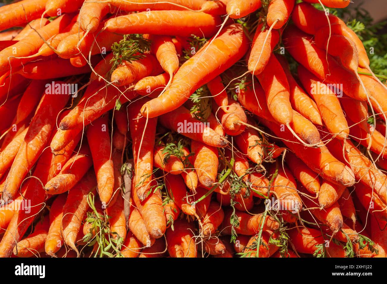 Carrot stall hi-res stock photography and images - Alamy