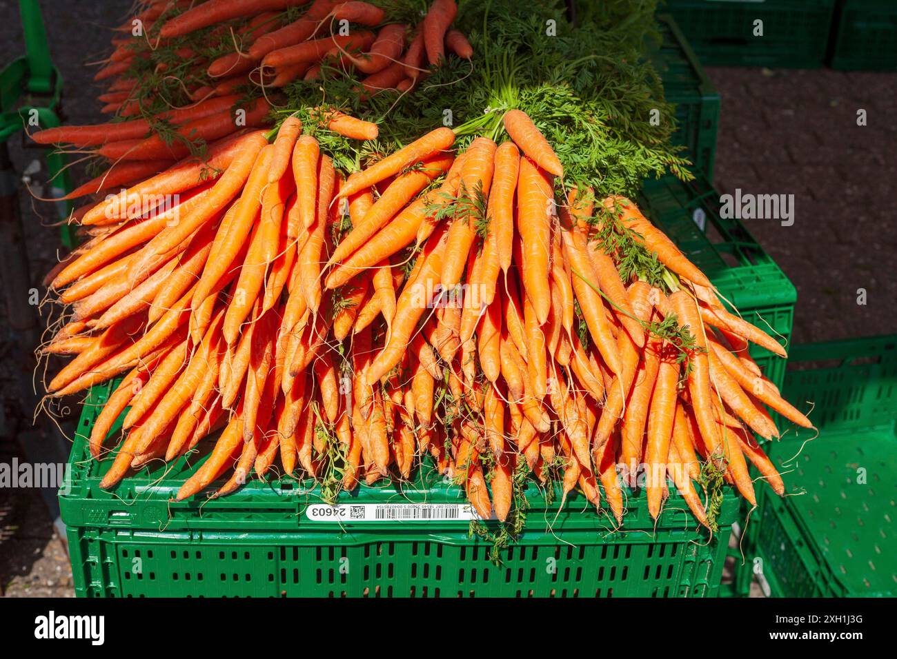Carrots on a market stall, Germany Stock Photo - Alamy