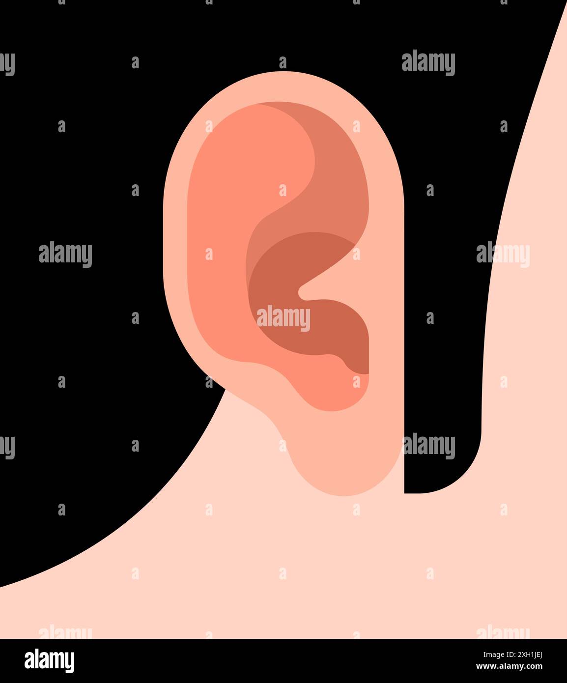 Human ear isolated. Body part symbol Stock Vector Image & Art - Alamy