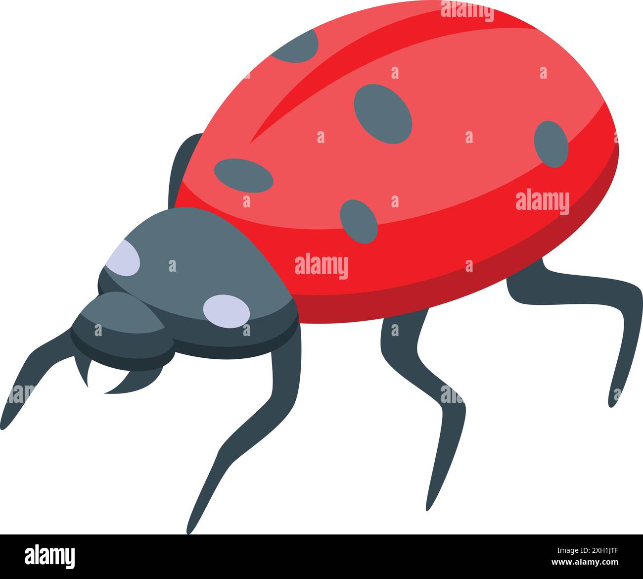 Red ladybug is walking on six legs with black spots on its back Stock ...