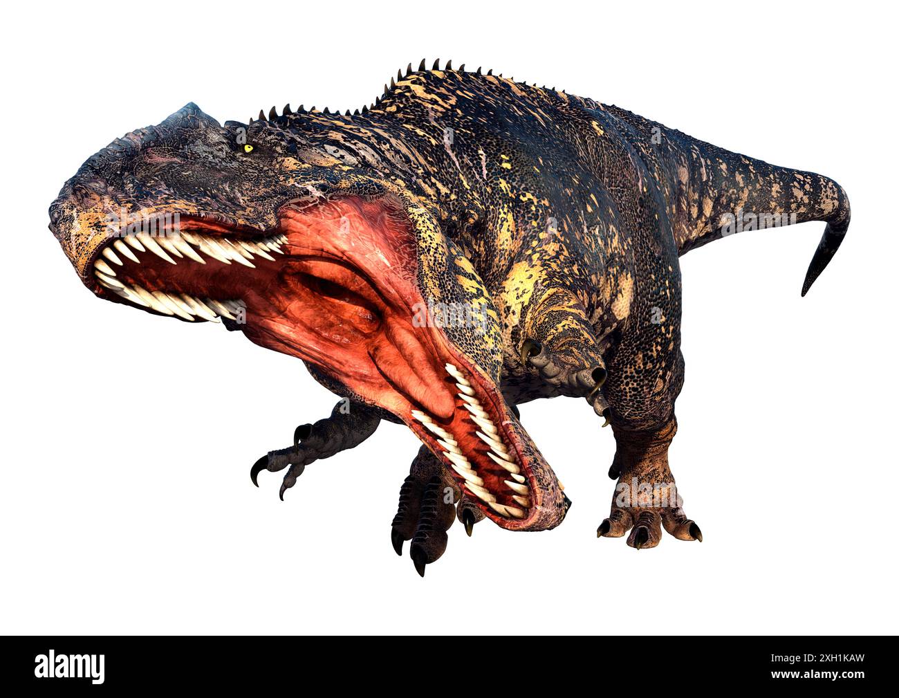 3D rendering of a dinosaur gigantosaurus isolated on white background Stock Photo - Alamy