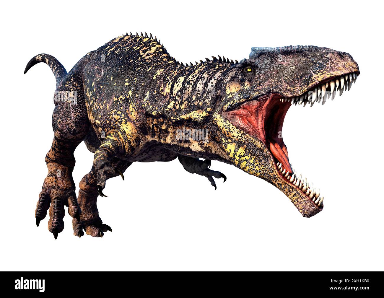 3D rendering of a dinosaur gigantosaurus isolated on white background Stock Photo - Alamy
