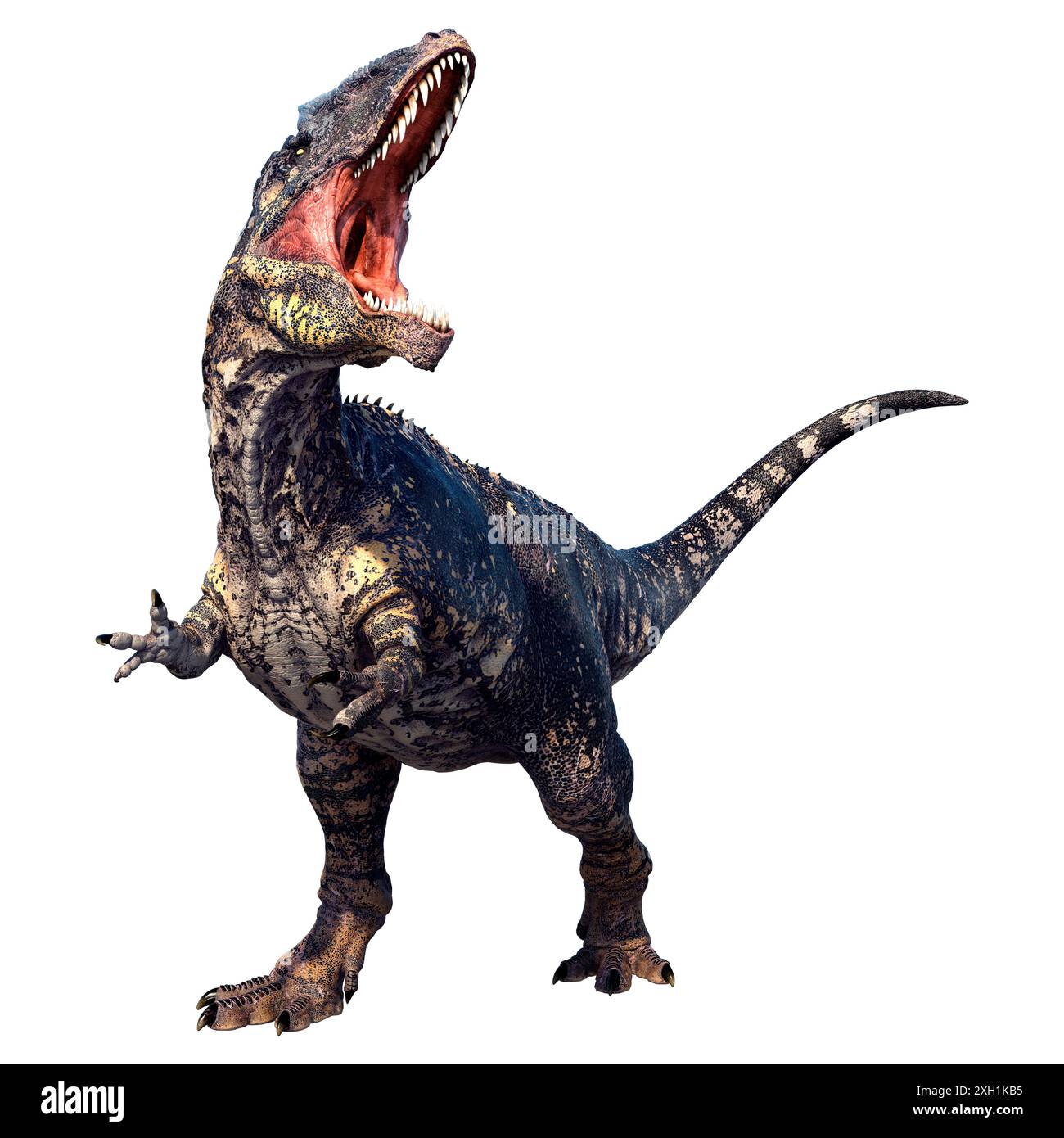3D rendering of a dinosaur gigantosaurus isolated on white background Stock Photo - Alamy