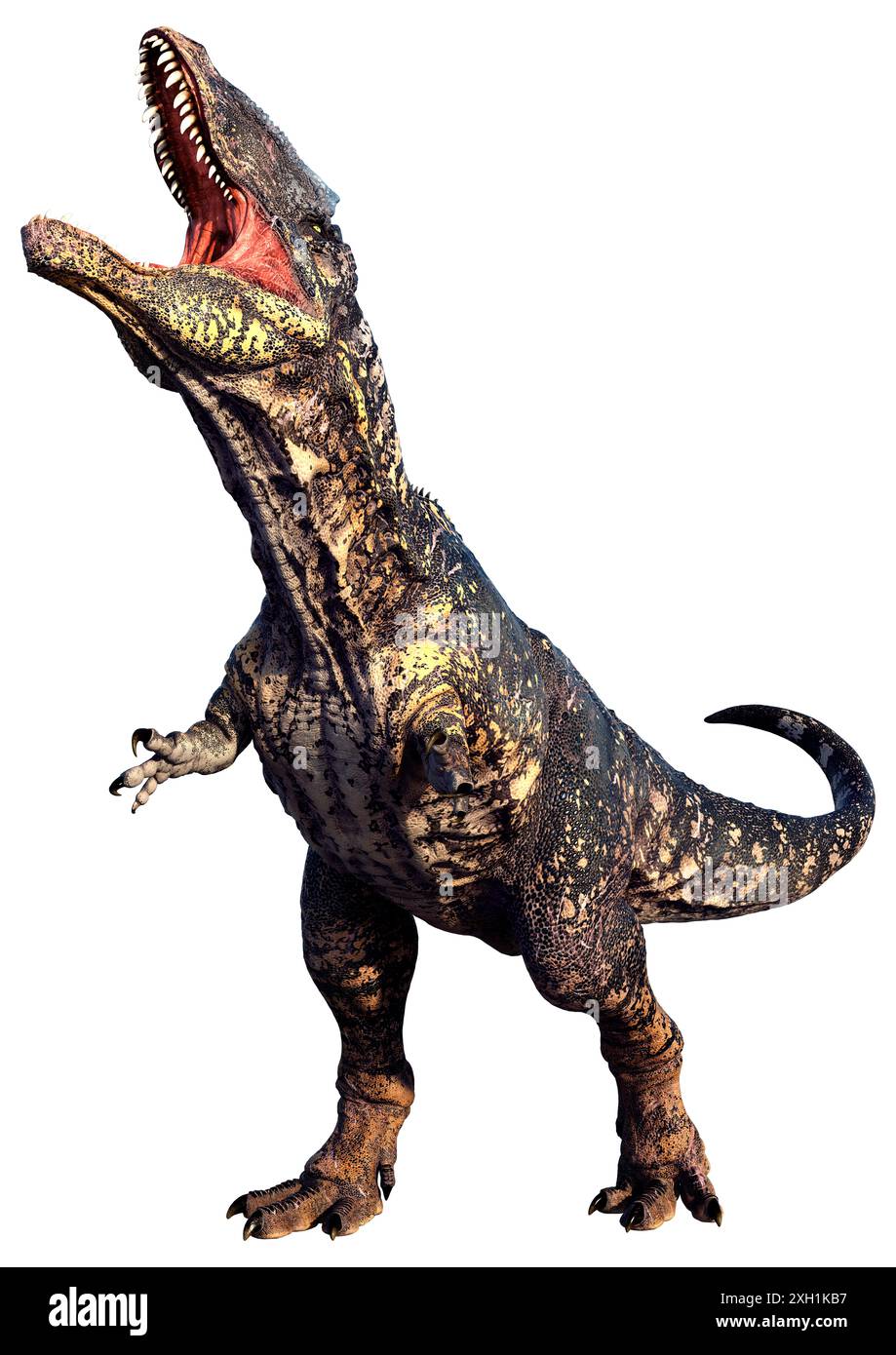 3D rendering of a dinosaur gigantosaurus isolated on white background Stock Photo - Alamy