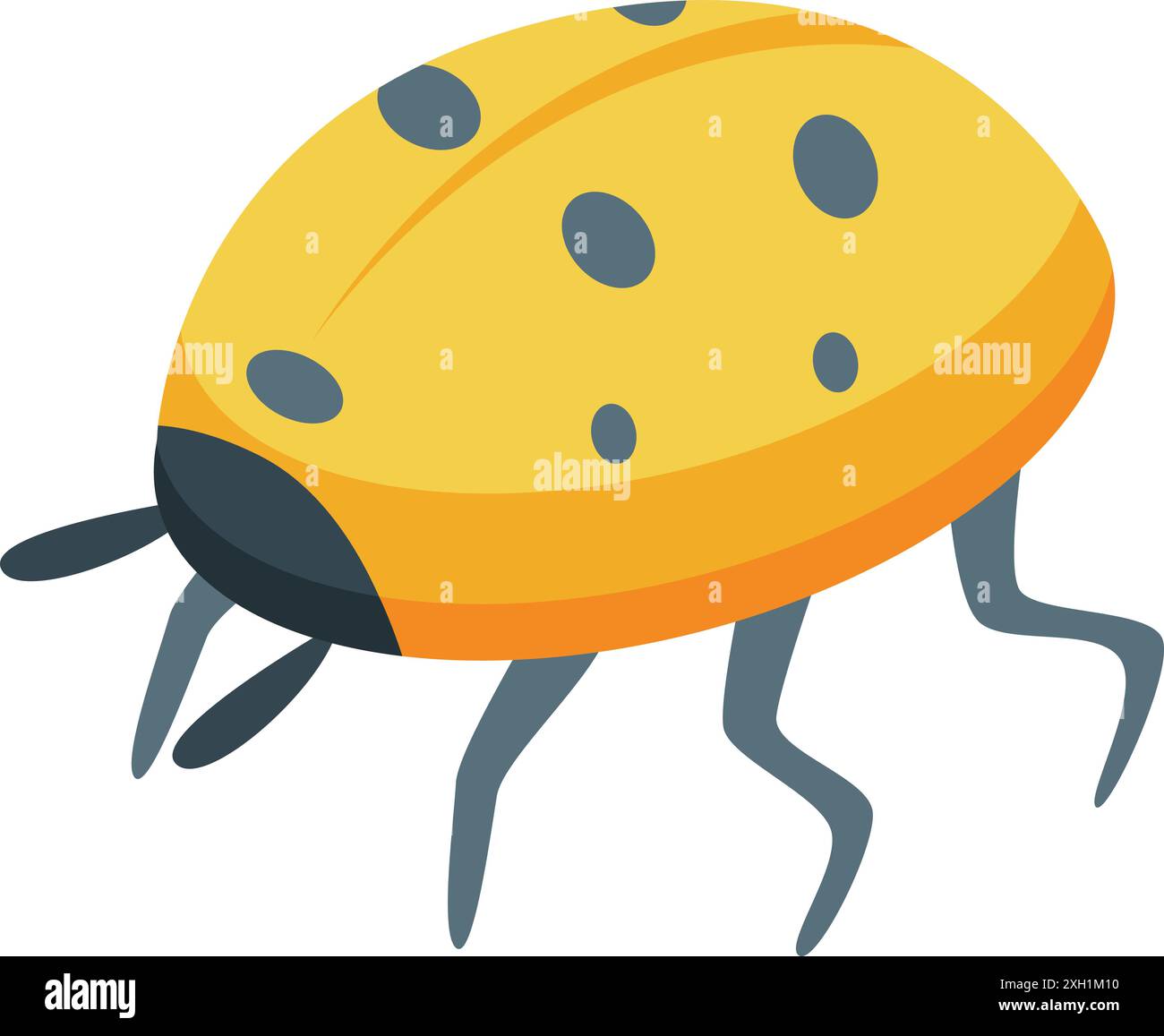 Yellow ladybug with black dots walking, shown in isometric view Stock ...