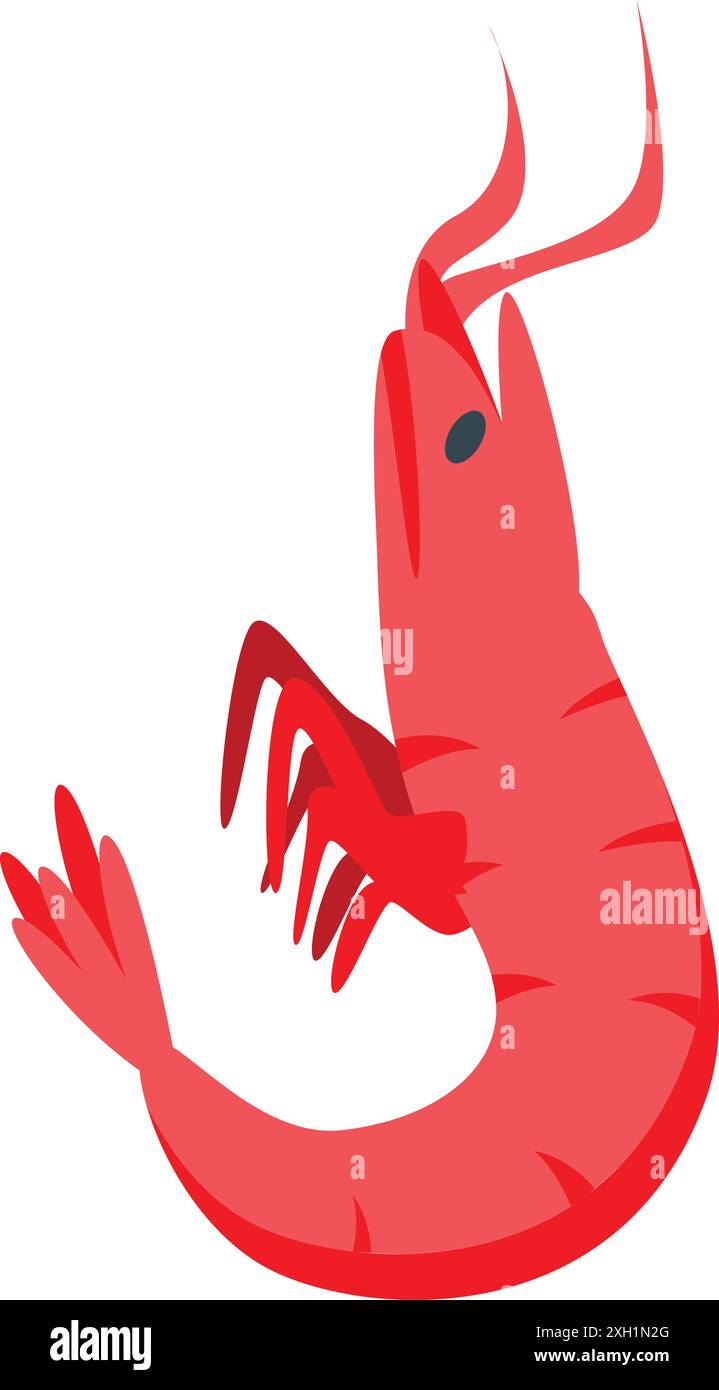 Cartoon red shrimp swimming with its tail up in the water Stock Vector ...