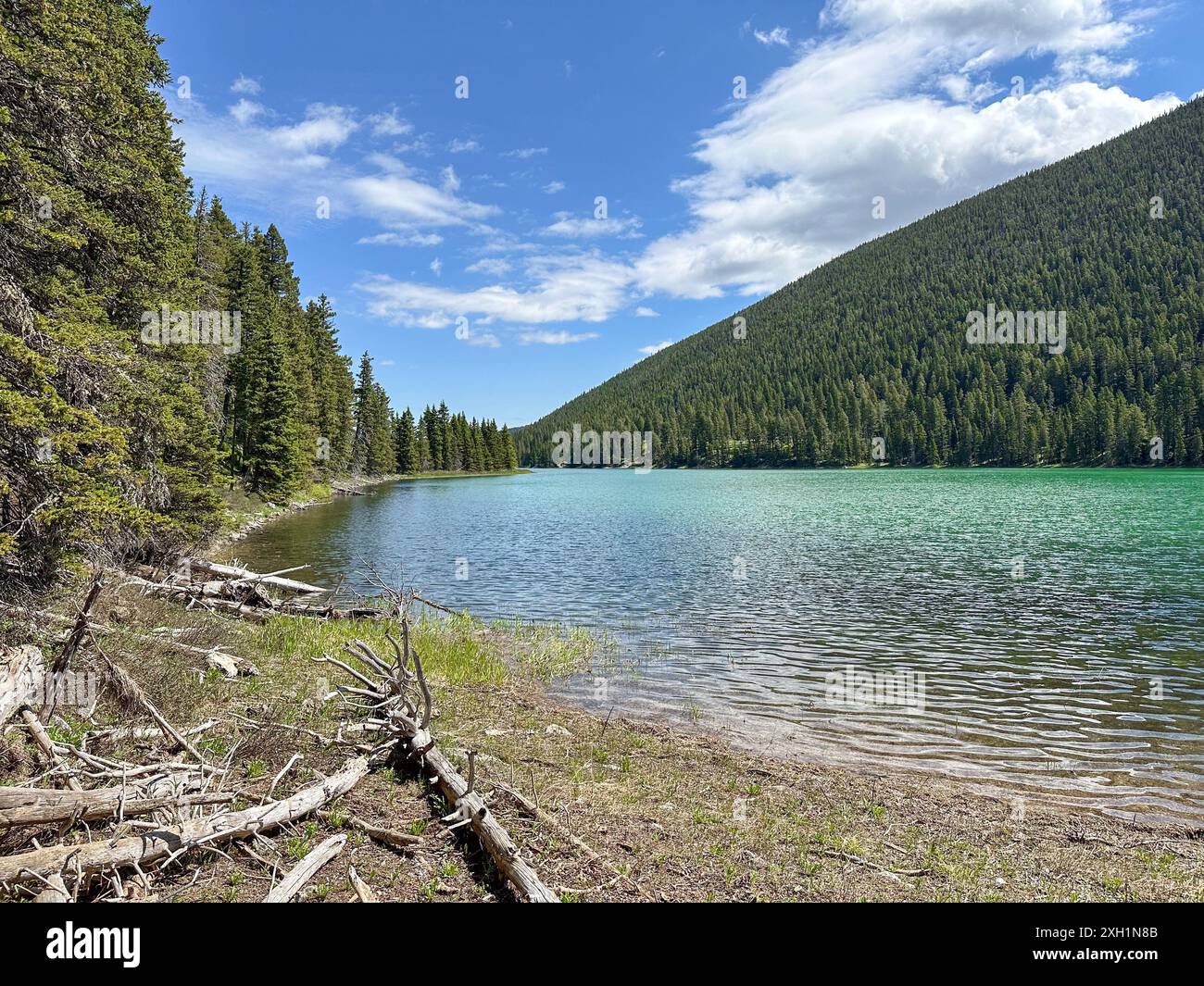 Beautiful lake surrounded by evergreen trees hi-res stock photography ...