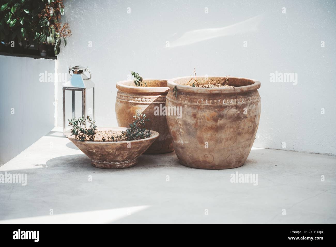 Three rustic clay pots with small plants are placed on a sunlit outdoor ...
