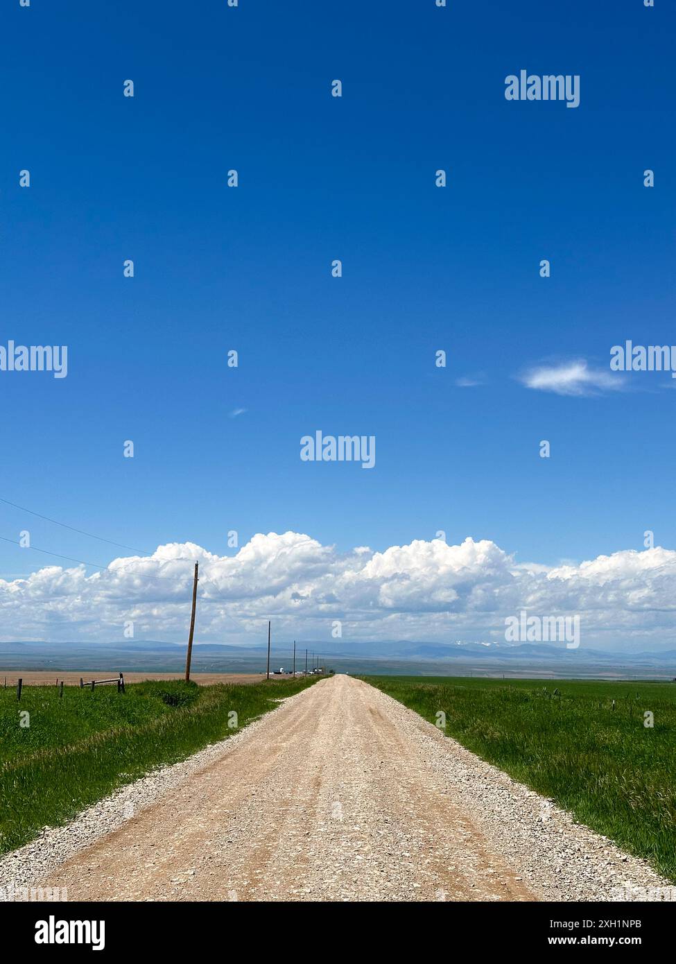 A dirt road through a rural landscape in the prairie of the Great ...