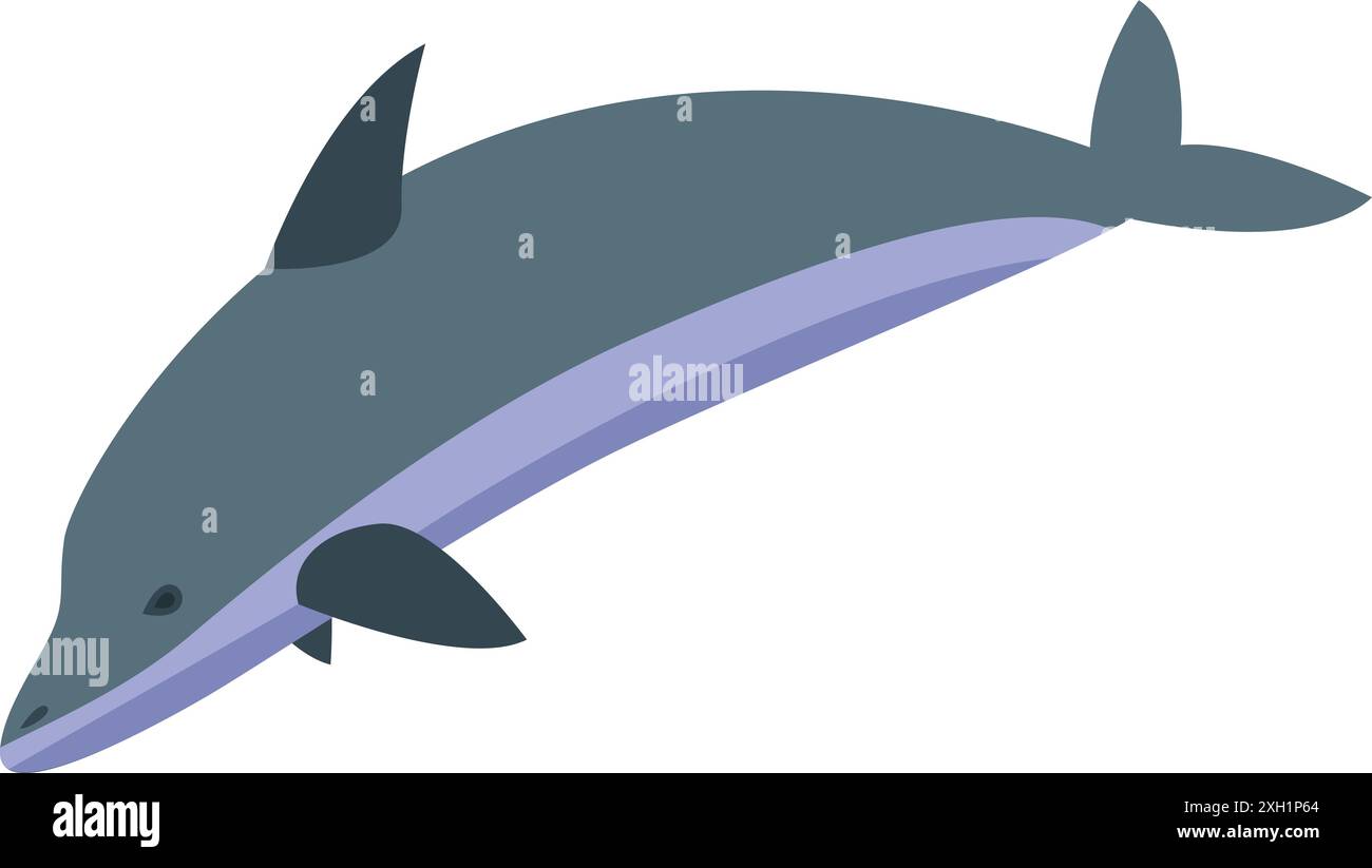 Minimalist illustration featuring a grey dolphin jumping out of the ...