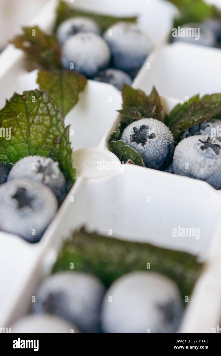 Frozen blueberry fruits with mint leaves. Frost blueberries and mint ...