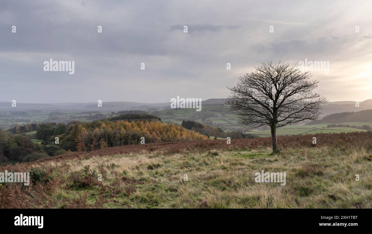 Wart hills hi-res stock photography and images - Alamy
