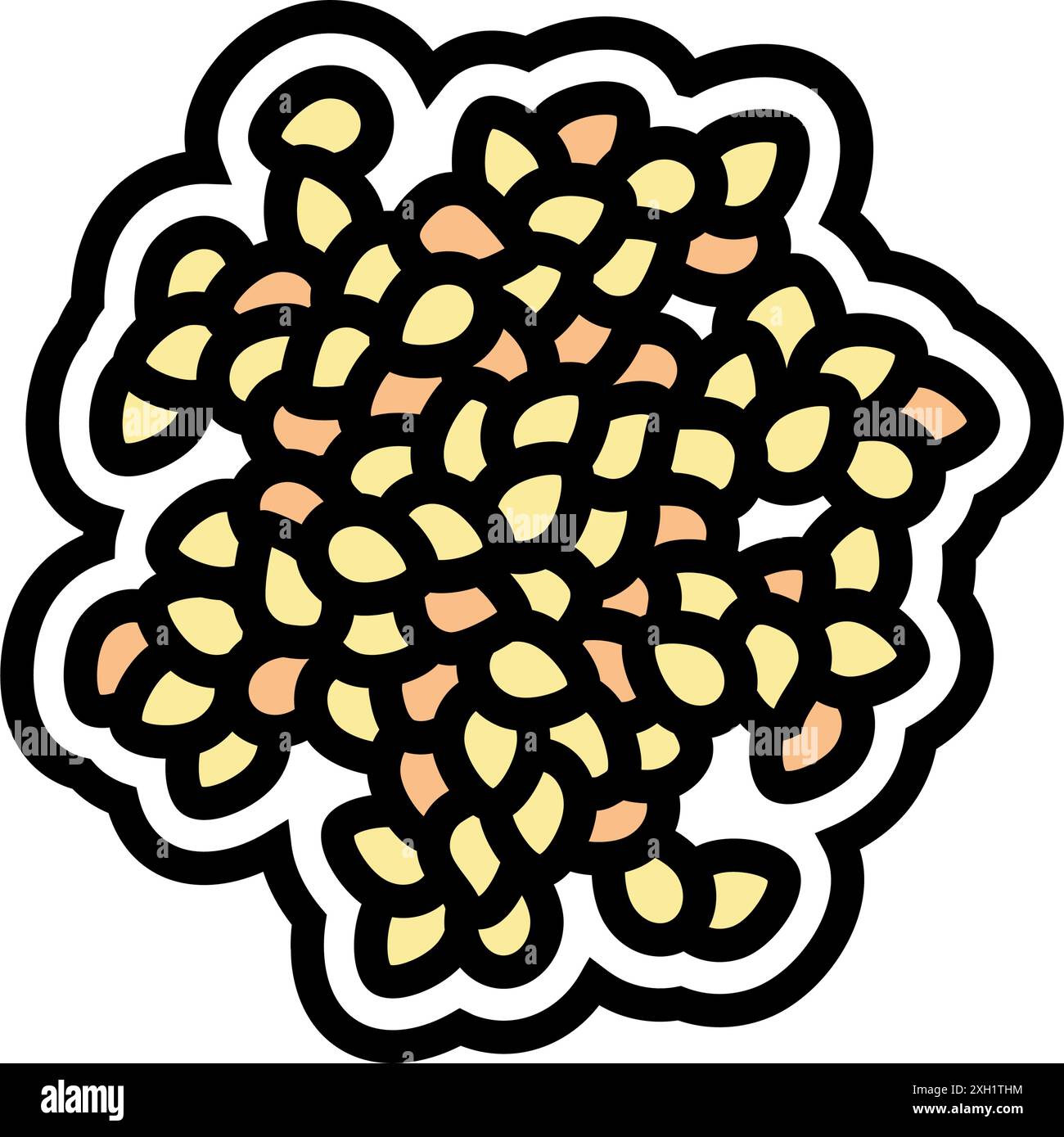 sesame allergen free product food color icon vector illustration Stock ...