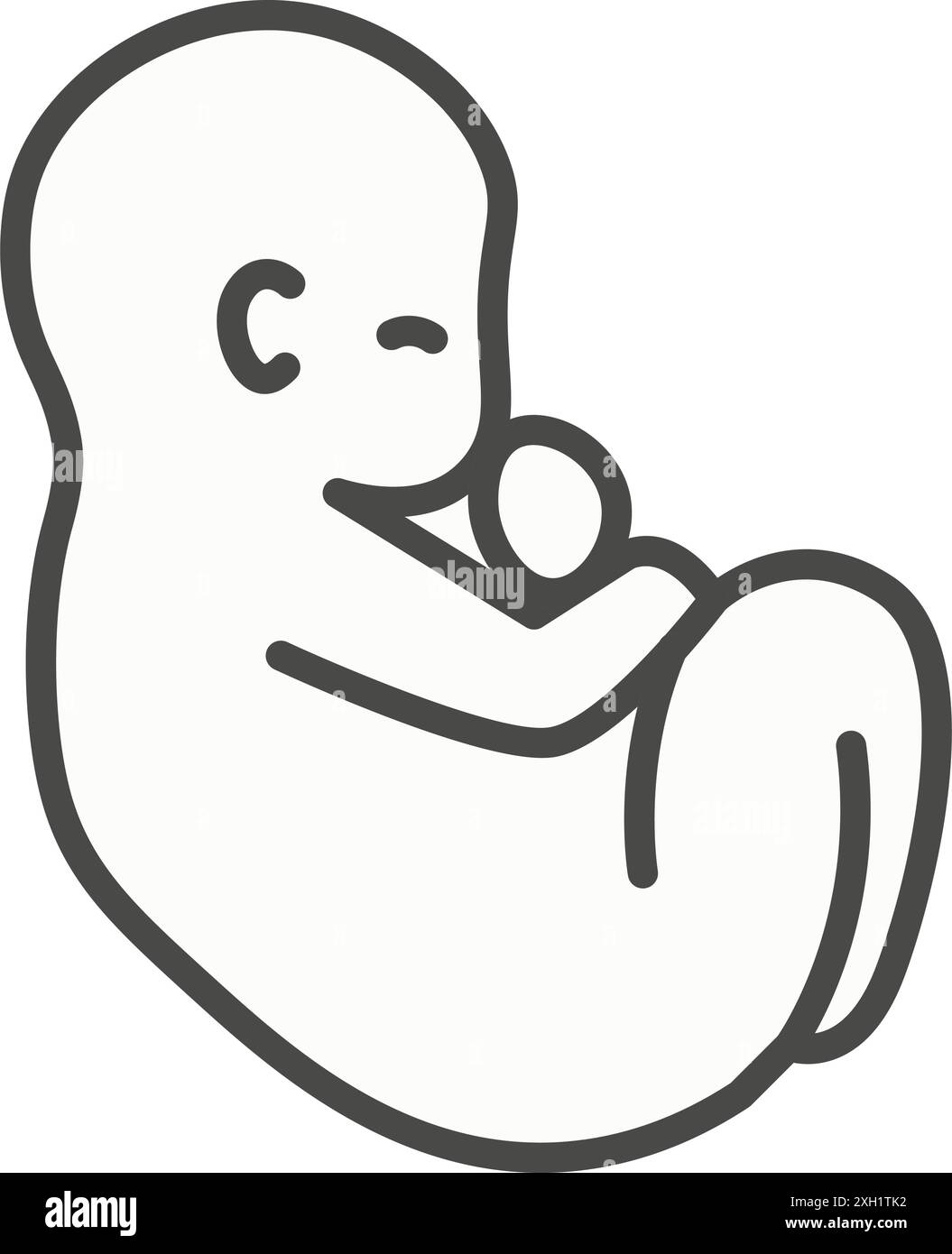 Unborn vector vectors hi-res stock photography and images - Alamy