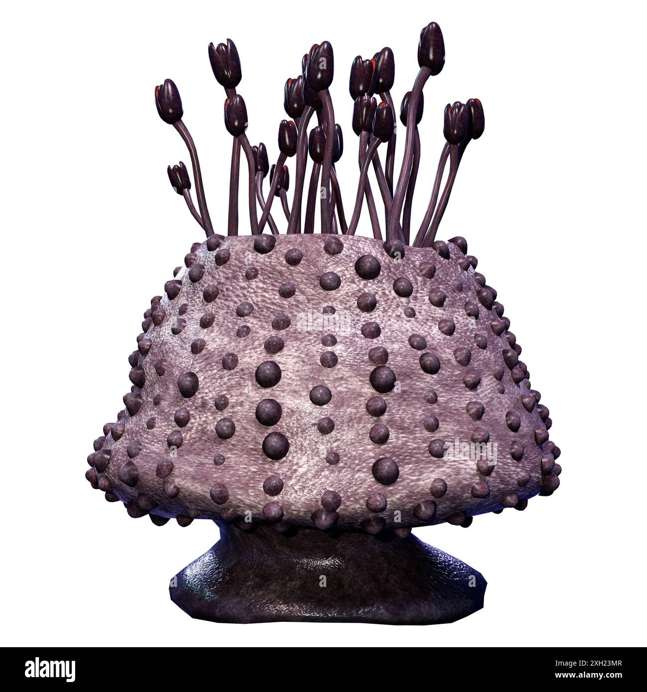 3D rendering of a fantasy alien plant isolated on white background ...