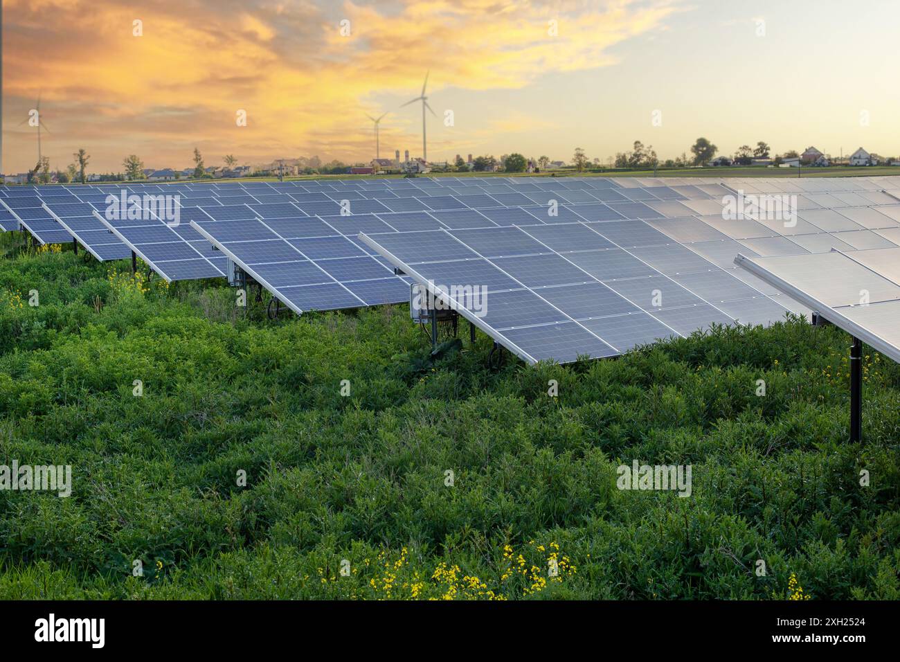 Wind solar farm climate change hi-res stock photography and images - Alamy