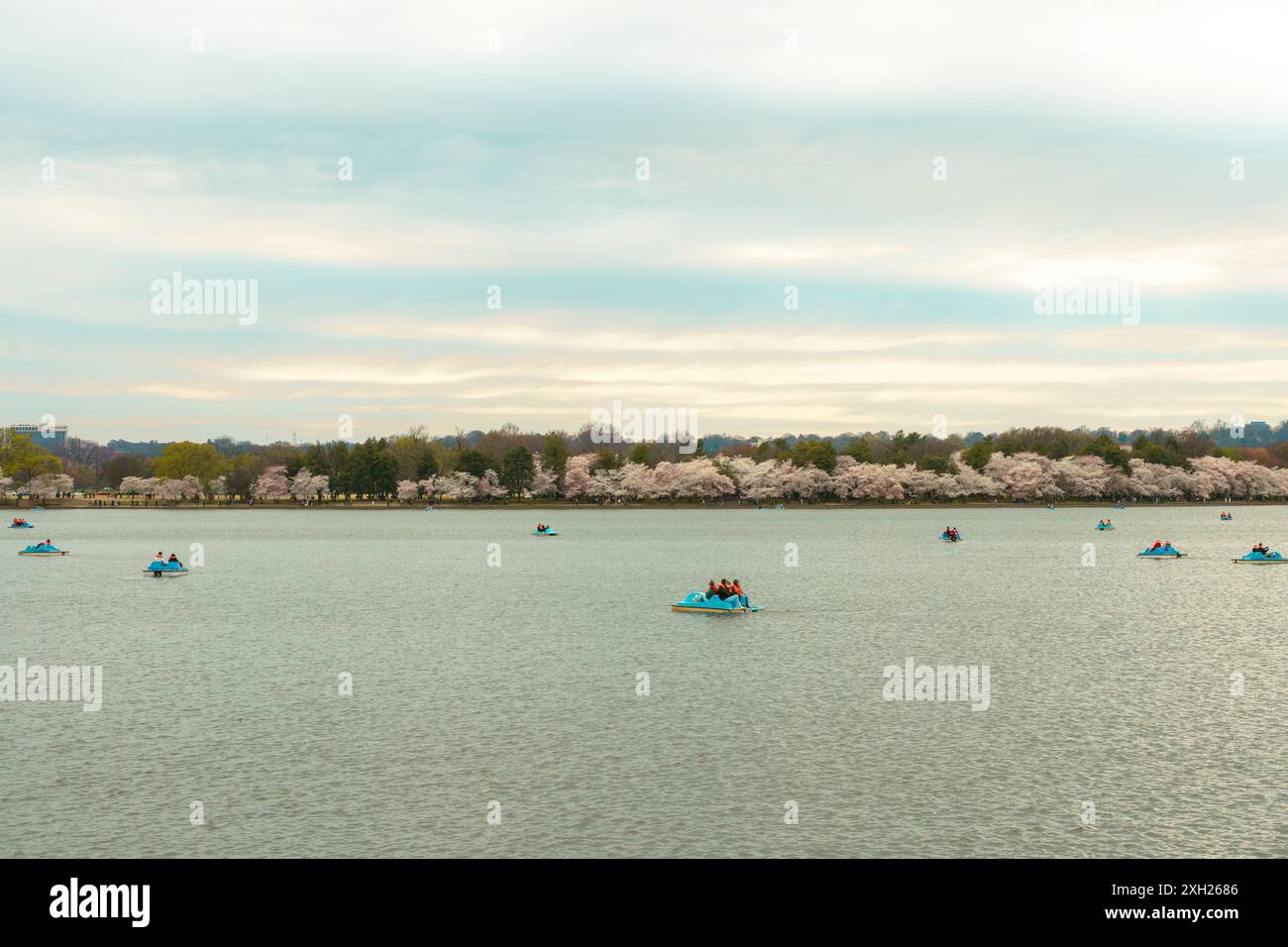 Washington, DC - March 22, 2024: Crowds of tourists boating on ...