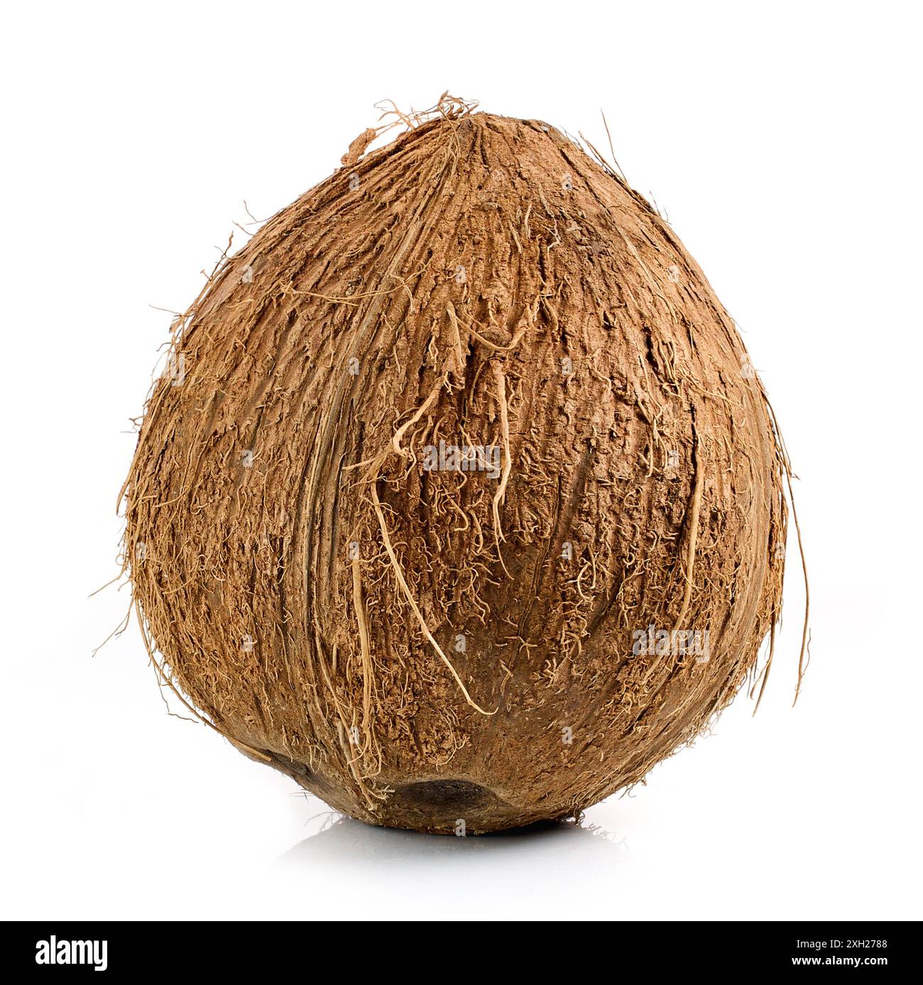 Whole ripe fresh coconut hi-res stock photography and images - Alamy