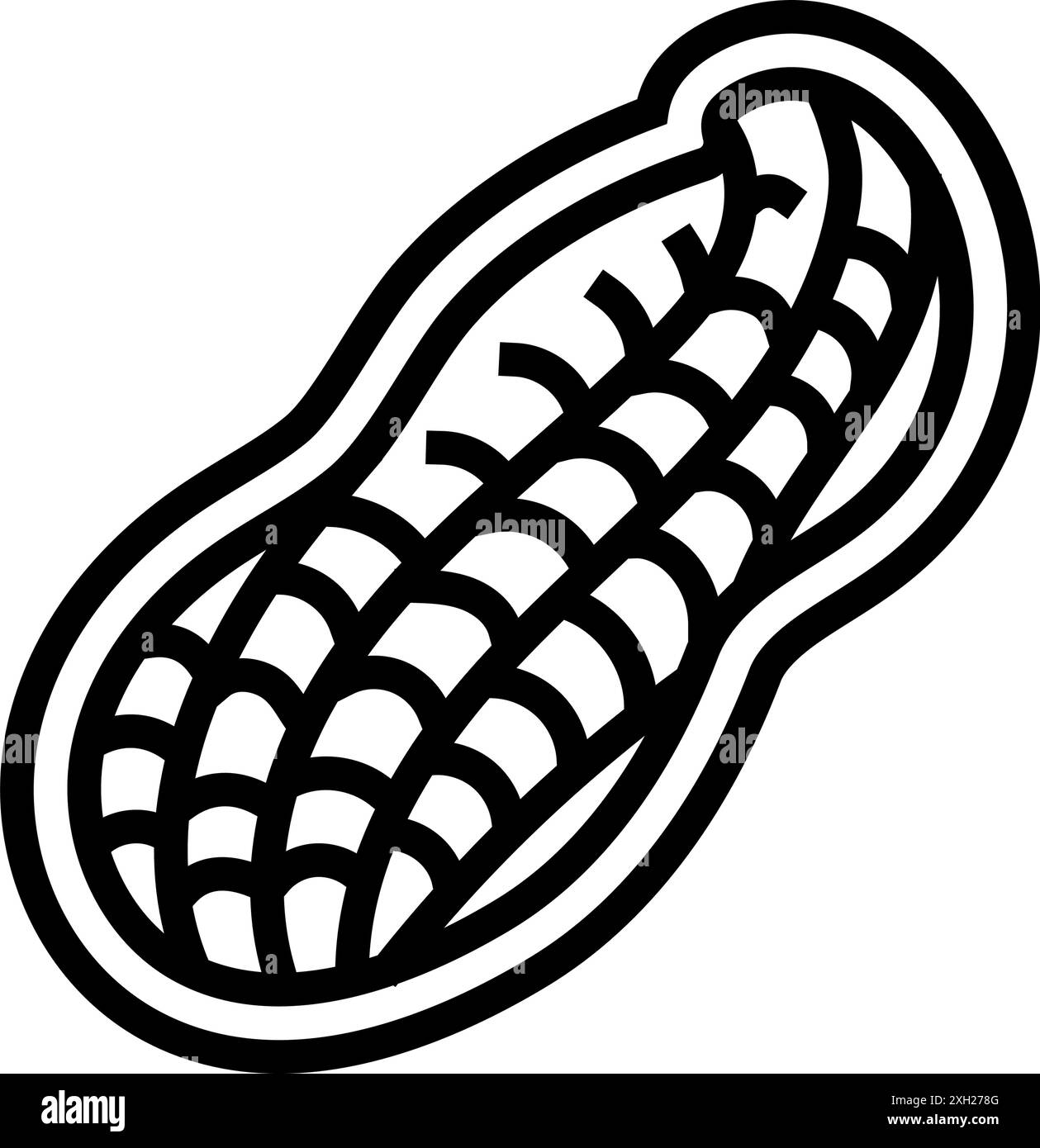 peanuts allergen free product food line icon vector illustration Stock ...