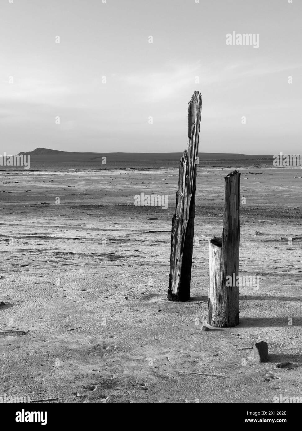 Desert poles Black and White Stock Photos & Images - Alamy