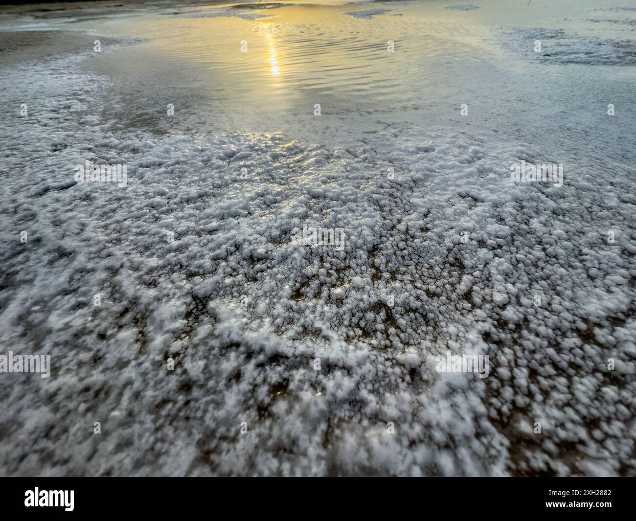 Beautiful salt flats landscape with a golden sunset reflecting on the ...