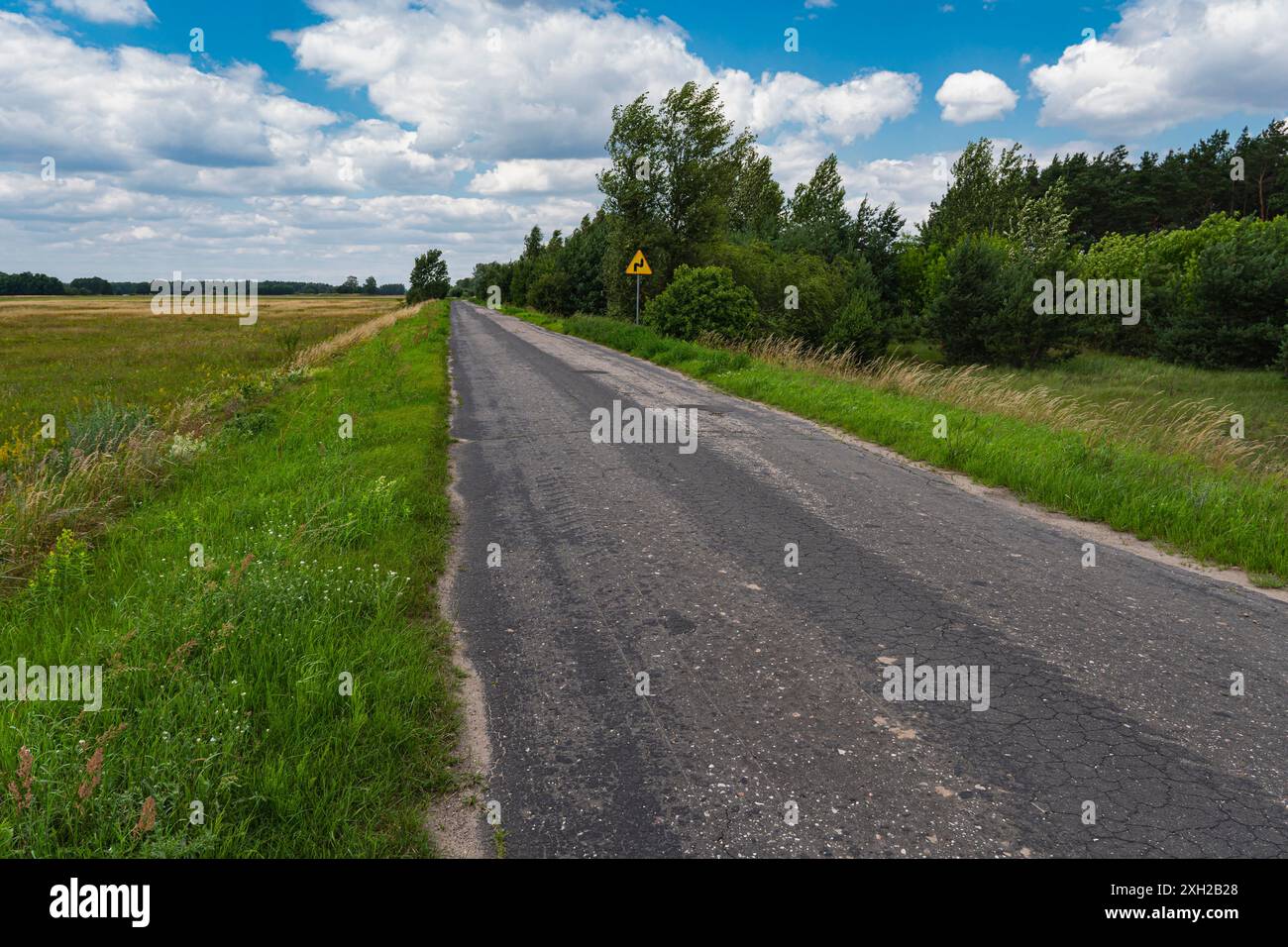 Landscape with an empty old asphalt road through meadows on flatlands ...