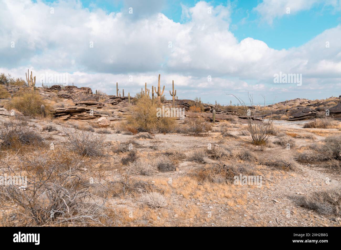 Hidden Valley trail at the South Mountain Park Preserve in Phoenix ...