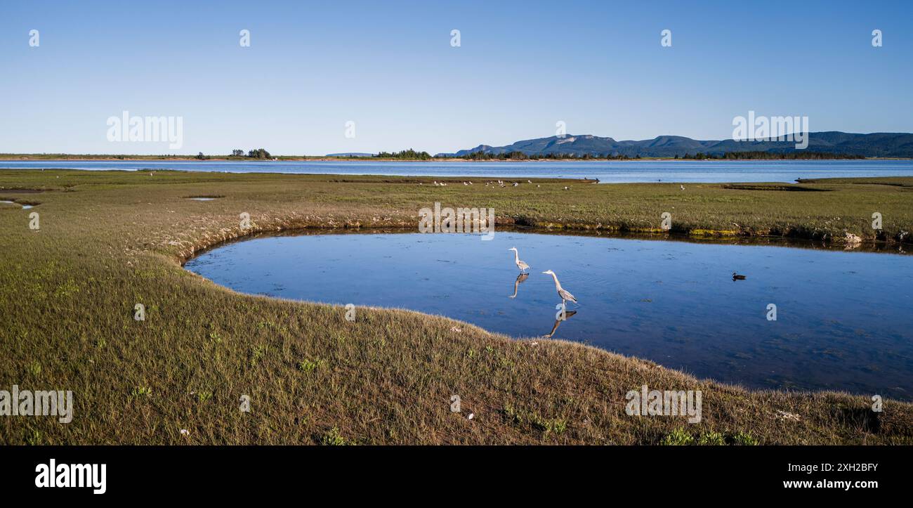 Gaspe peninsula landscape, Quebec, CA Stock Photo - Alamy
