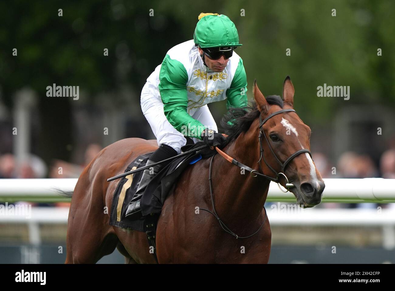 Al musmak horse hi-res stock photography and images - Alamy