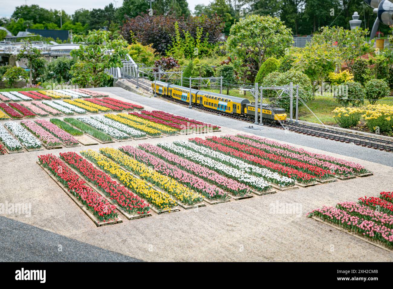 miniature park madurodam in the netherlands with flower fields Stock ...