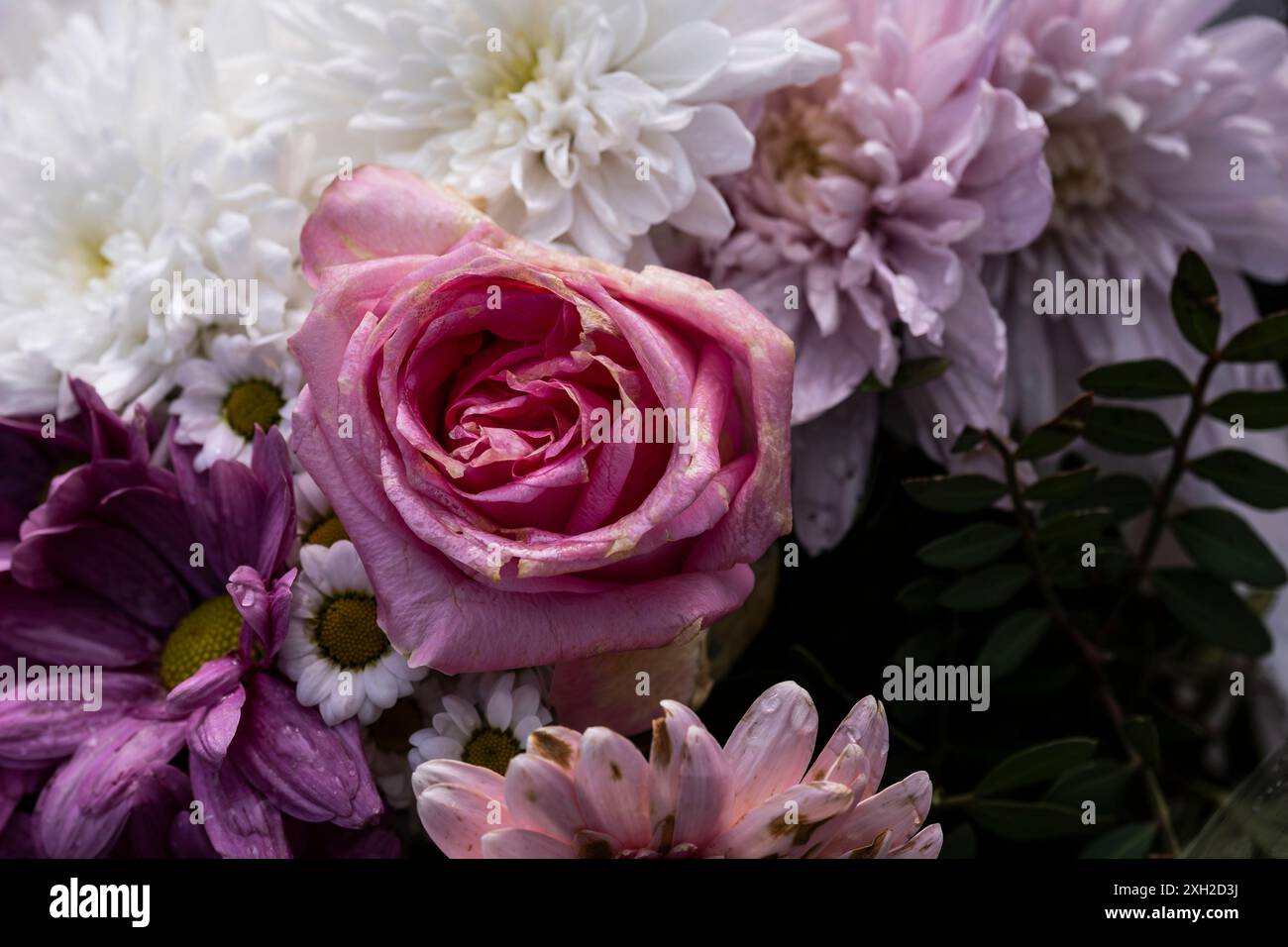 Decaying bouquet of flowers hi-res stock photography and images - Alamy