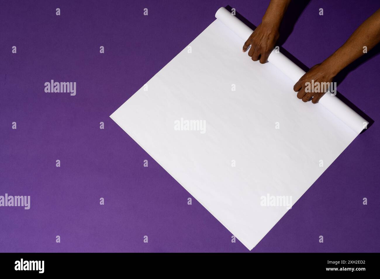 Hands unroll a blank white poster on a purple background, with copy ...