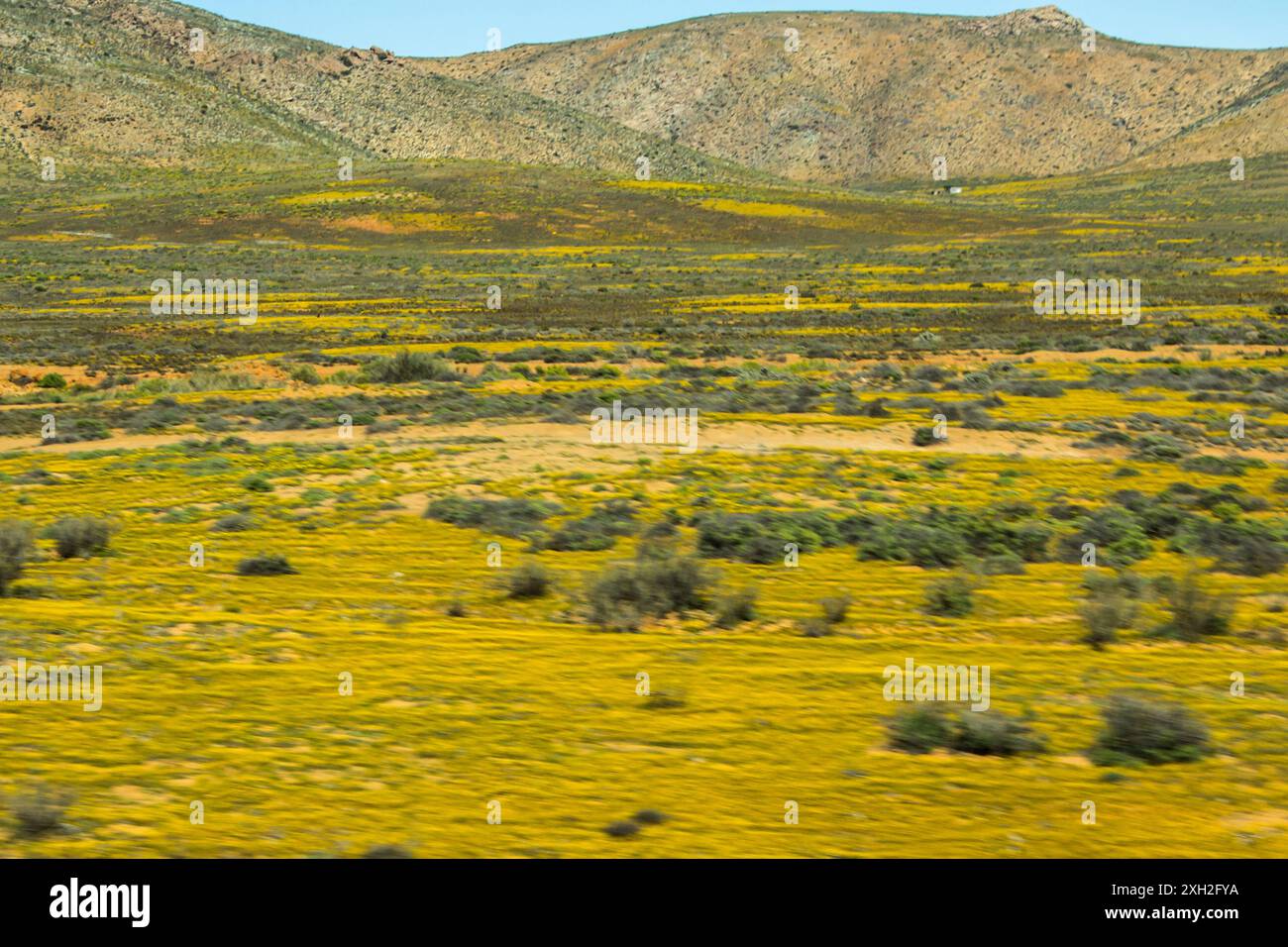 A plane Infront of some koppies of Northern Namaqualand, in South ...